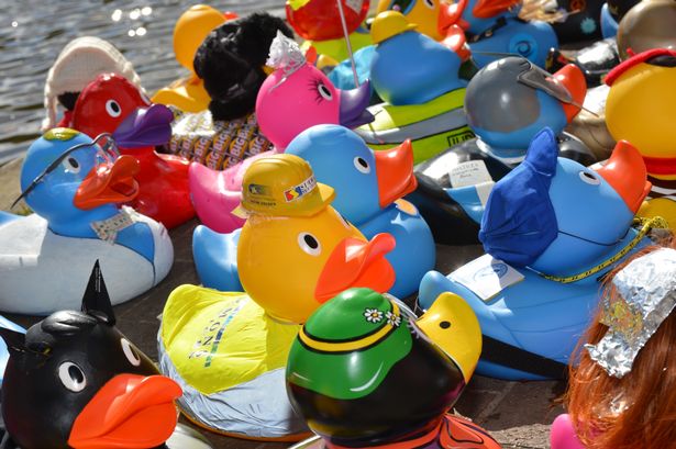 Chester Duck Race - Cheshire and Warrington