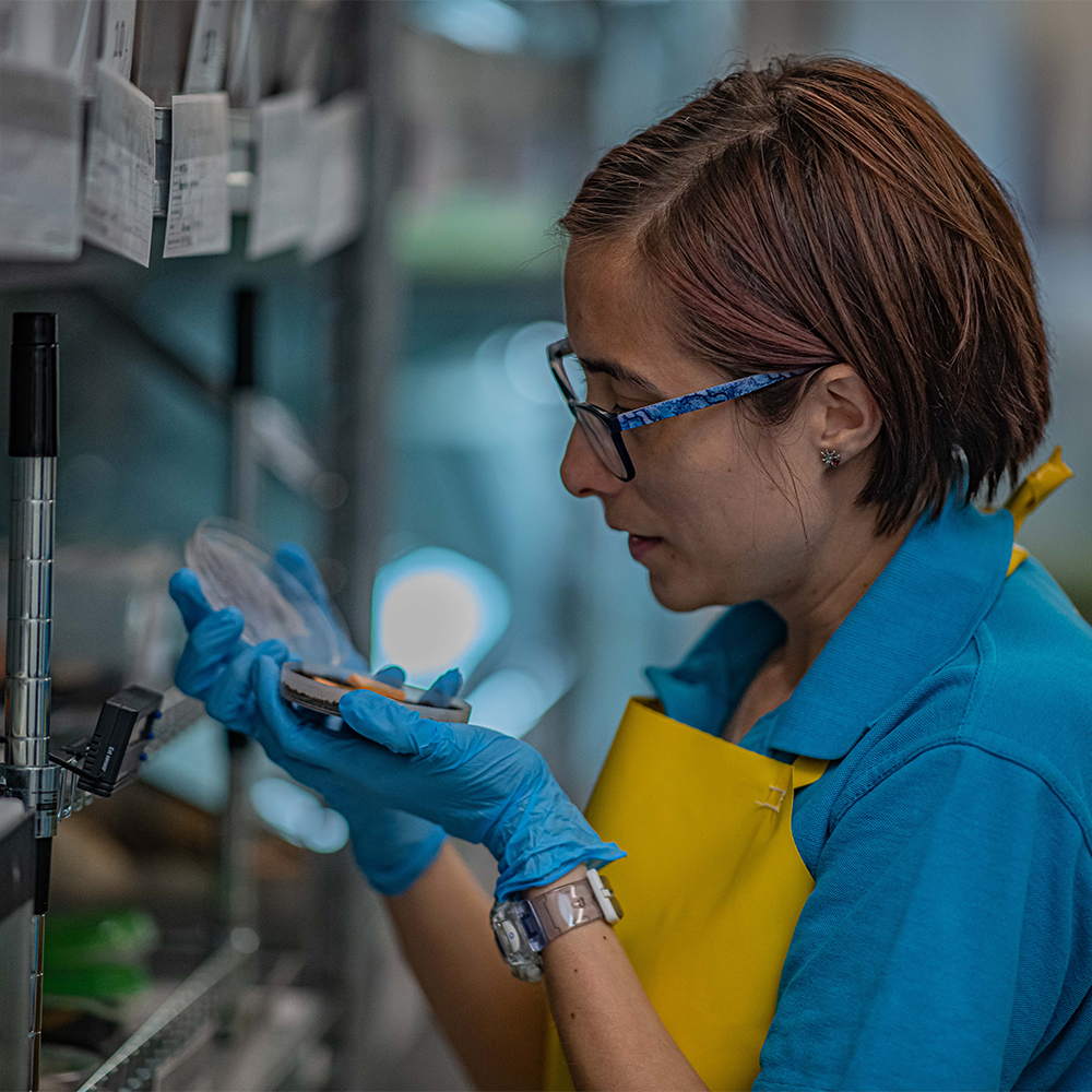 Chester Zoo joins the Cheshire Science Corridor - Cheshire and Warrington